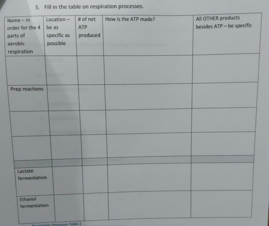 Solved Fill in the table on respiration processes. | Chegg.com
