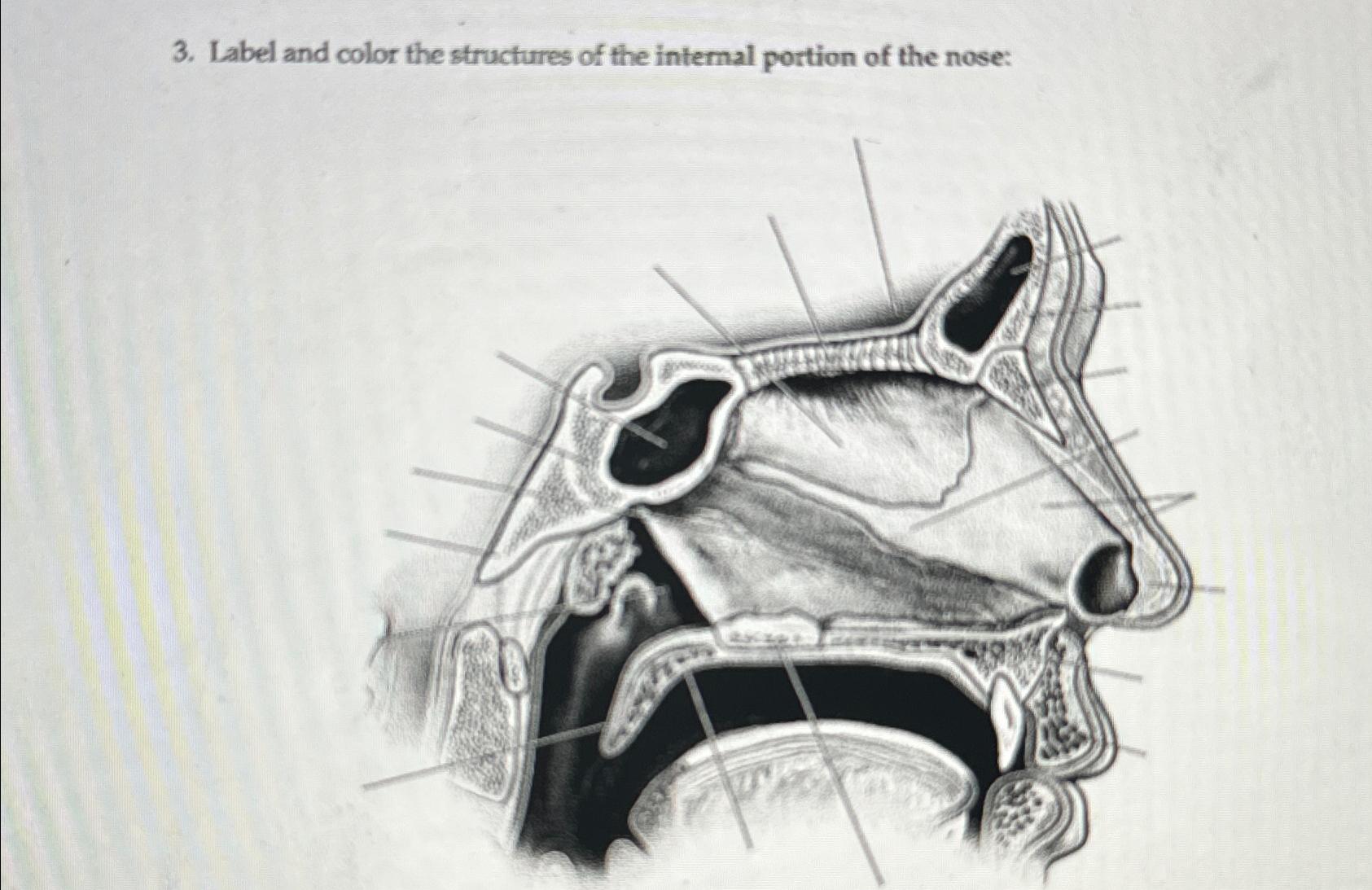 Solved Label and color the structures of the internal | Chegg.com