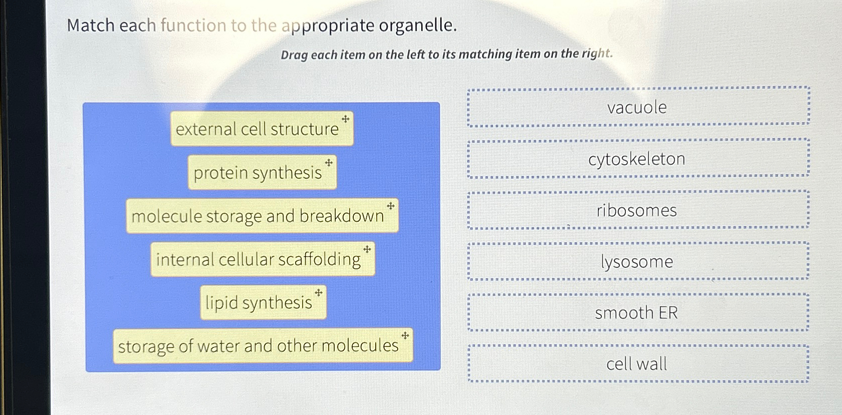 Solved Match Each Function To The Appropriate Organelle Drag