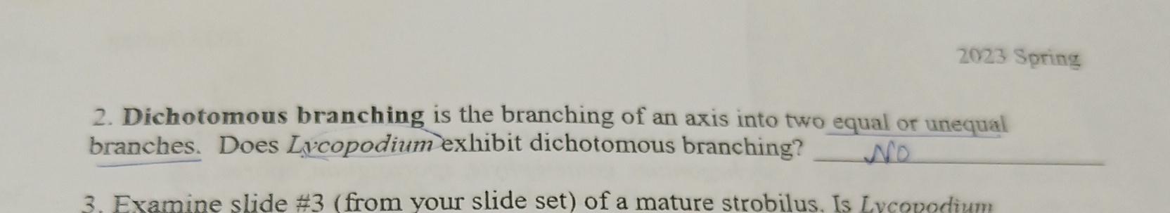 Solved 2023 ﻿Spring2. ﻿Dichotomous branching is the | Chegg.com