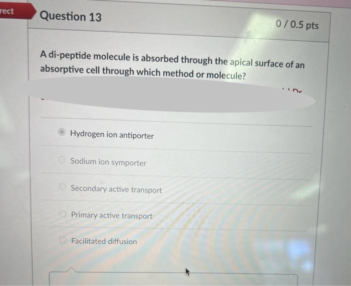 Solved A di-peptide molecule is absorbed through the apical | Chegg.com