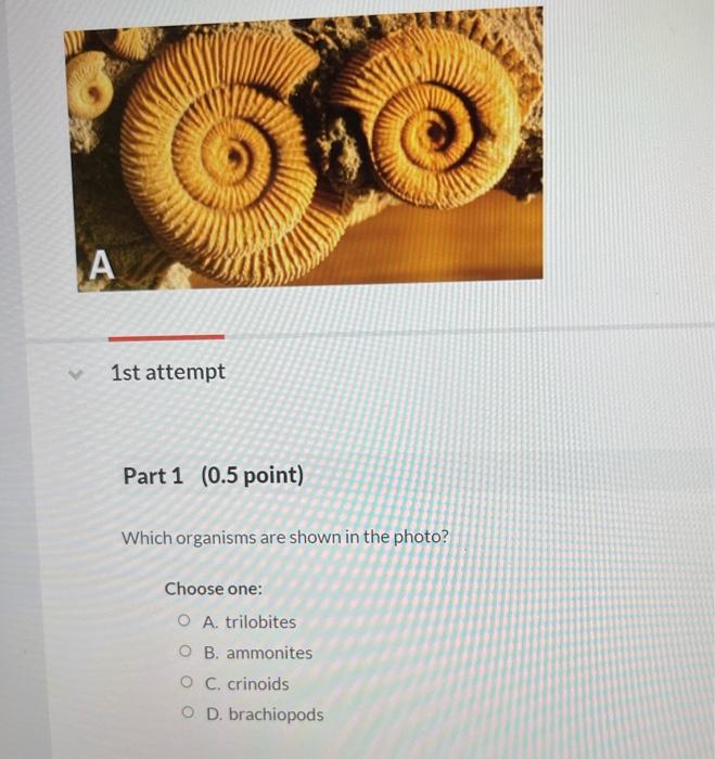 Solved 1st attempt Part 1 ( 0.5 point) Which organisms are | Chegg.com