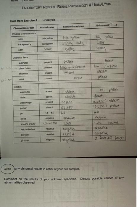 Solved LABORATORY REPORT: RENAL PHYSIOLOGY \& URINALYSIS | Chegg.com