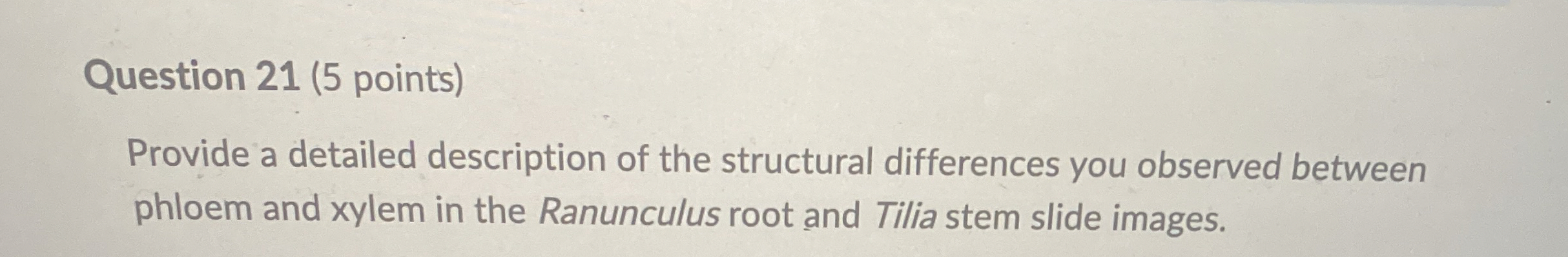 Solved Question 21 (5 ﻿points)Provide a detailed description | Chegg.com