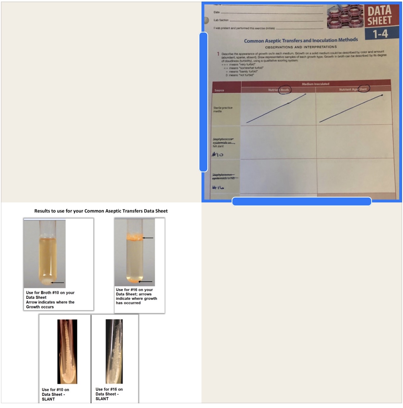 Solved DateDATAtabsactionSHEETI inas pretert and performed | Chegg.com