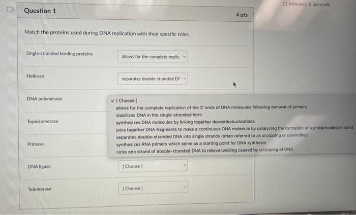 Solved Question 1 Match the proteins used during DNA | Chegg.com