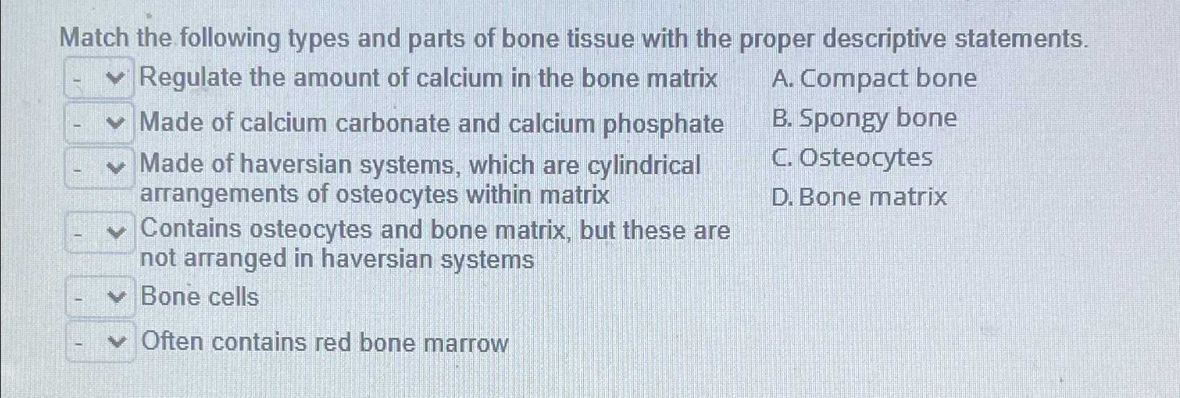 Solved Match the following types and parts of bone tissue | Chegg.com
