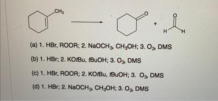 Solved (a) 1. HBr, ROOR; 2. NaOCH3,CH3OH; 3. O3, DMS (b) 1. | Chegg.com