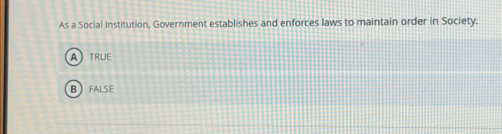 Solved As a Social Institution, Government establishes and | Chegg.com