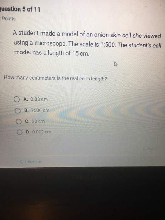 Solved A student made a model of an onion skin cell she | Chegg.com