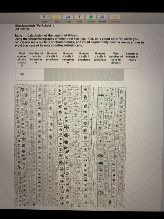 Solved T Insert Table Chart Text Shape Media Comment | Chegg.com
