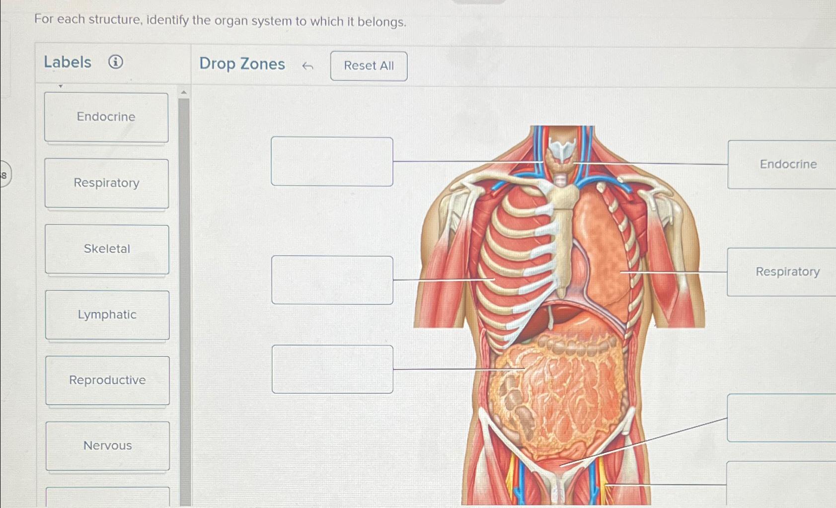 Solved For each structure, identify the organ system to | Chegg.com