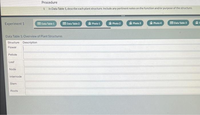 Solved in table 1 describe each plant structure. include any | Chegg.com