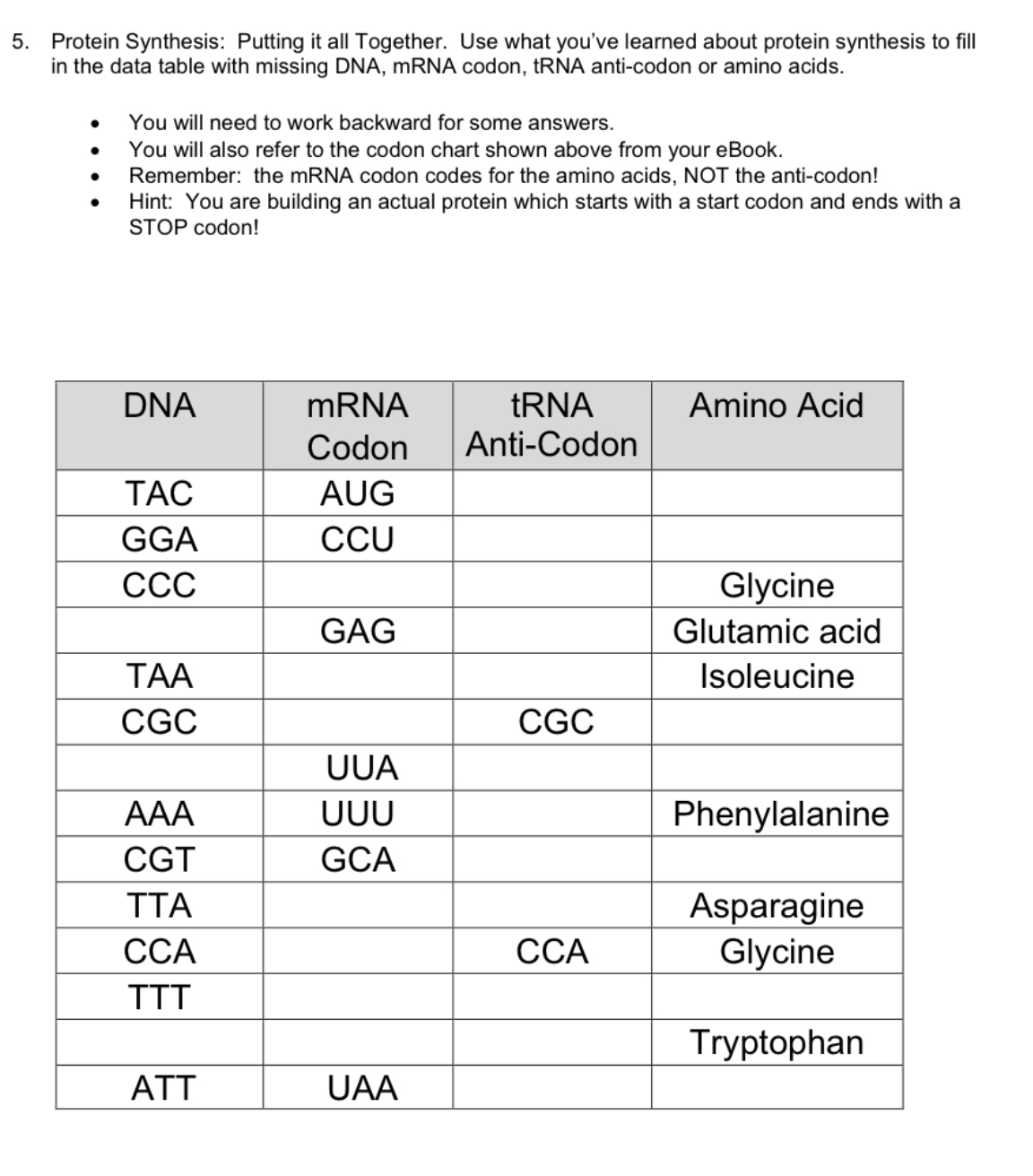 Solved Protein Synthesis: Putting it all Together. Use what | Chegg.com