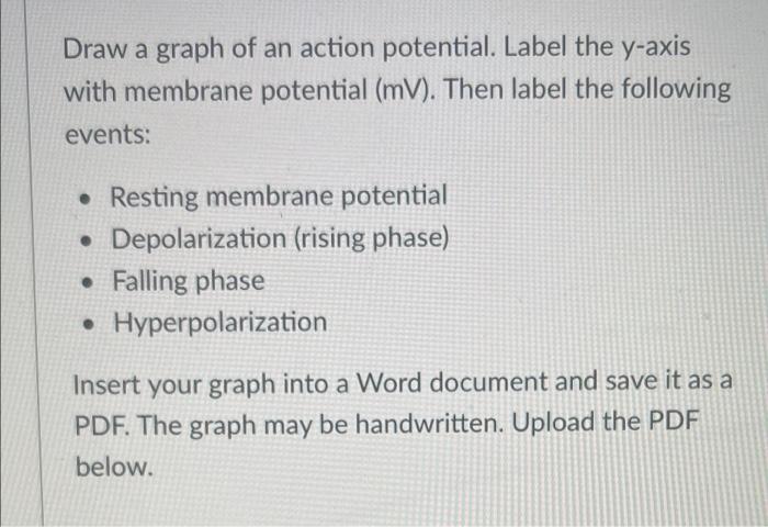 Solved Draw a graph of an action potential. Label the y-axis | Chegg.com