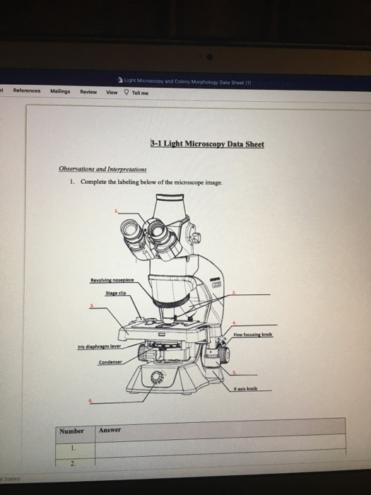 Solved Light Microscopy and Colony Morphology Data Sheet (1) | Chegg.com