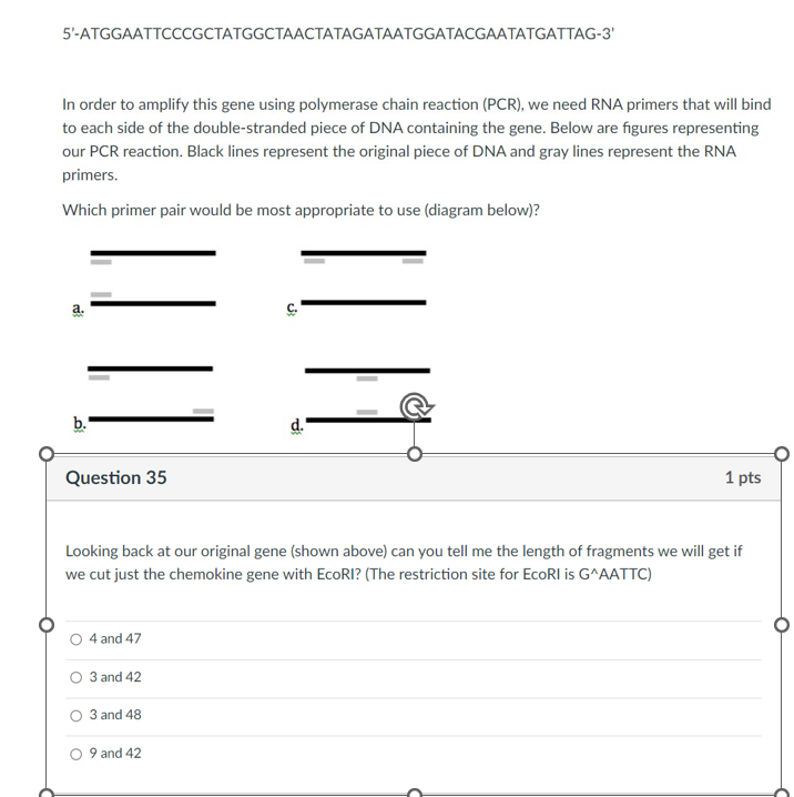 Solved Looking back at our original gene (shown above) ﻿can | Chegg.com
