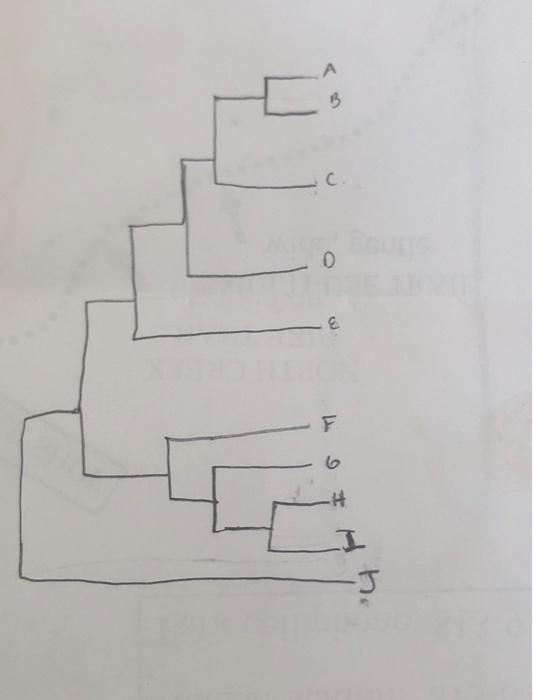 Solved how many subtrees are there? | Chegg.com