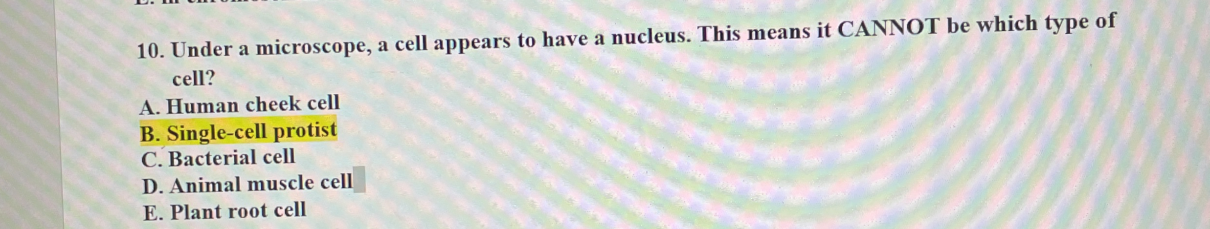 Solved Under a microscope, a cell appears to have a nucleus. | Chegg.com
