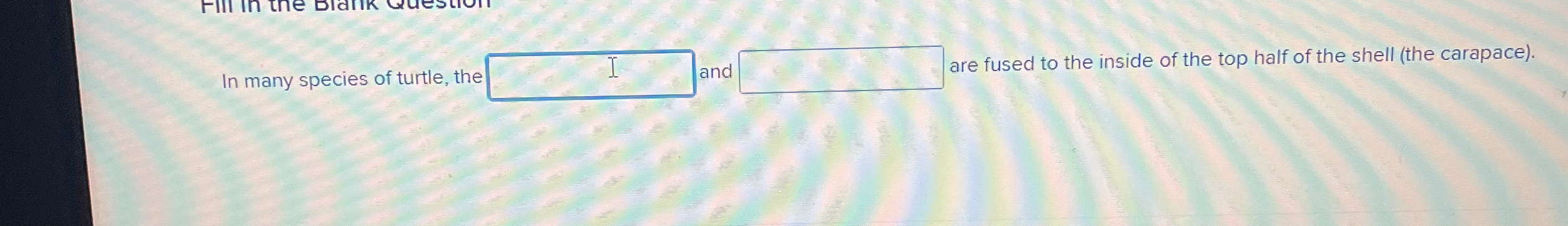 Solved In many species of turtle, the ﻿and ﻿are fused to | Chegg.com