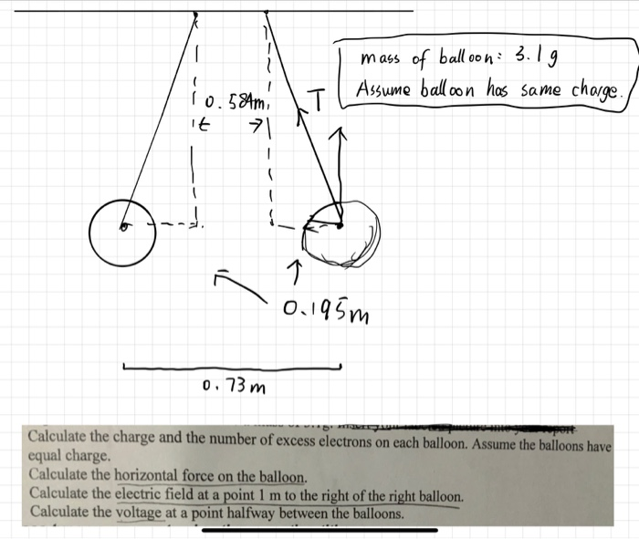 Solved mass of balloon: 3.19 Assume balloon has same charge | Chegg.com