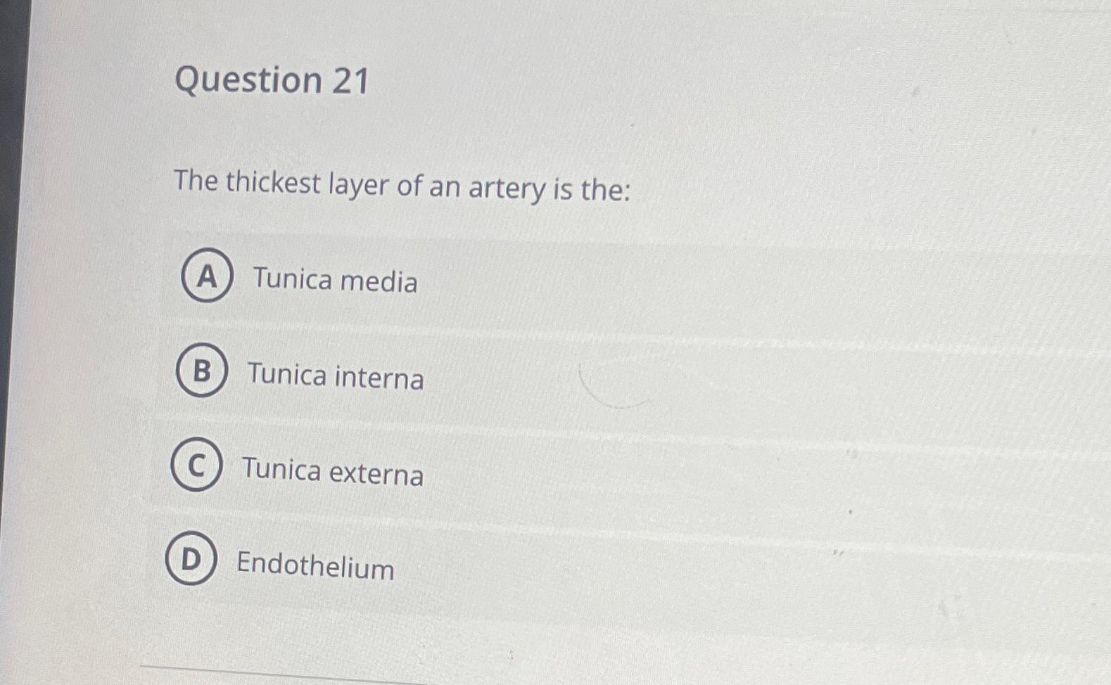Solved Question 21The thickest layer of an artery is | Chegg.com