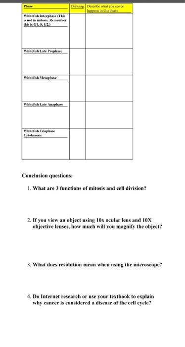 Solved Virtual Microscope- MITOSIS LAB 2. Go to the link | Chegg.com