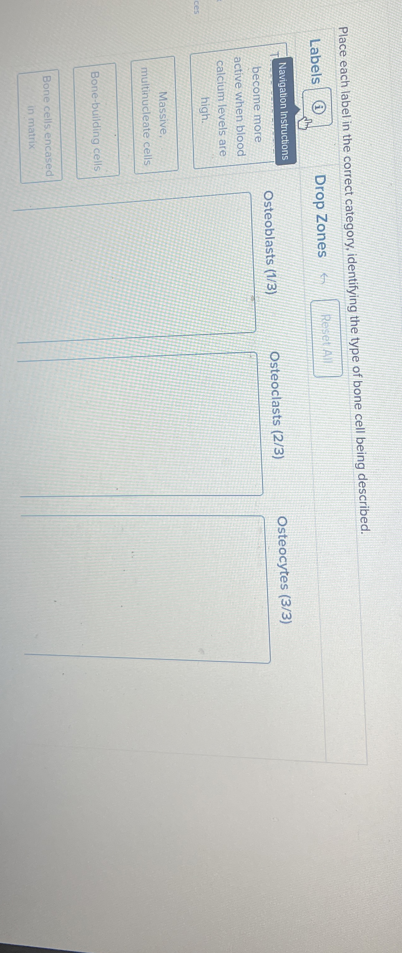 Solved Place each label in the correct category, identifying | Chegg.com
