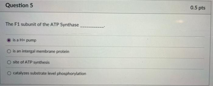 Solved Question 5 The F1 subunit of the ATP Synthase is a H+ | Chegg.com