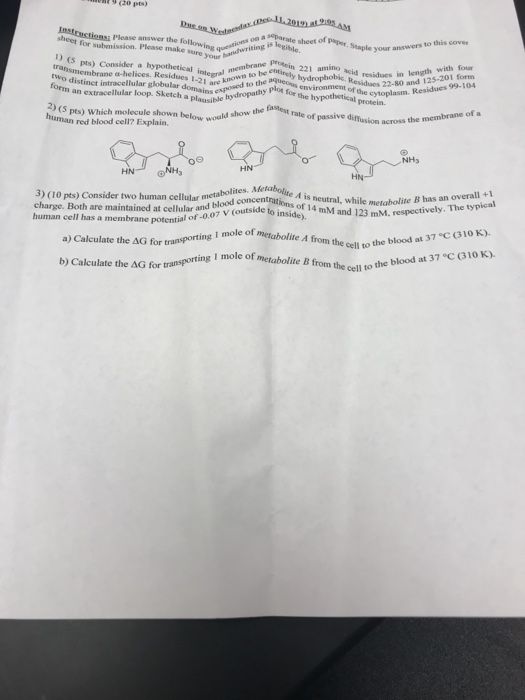 (20 pes) sheet for sub Sections Please answer the | Chegg.com