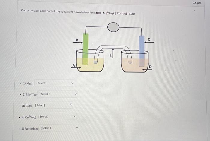 Solved Correctly label each part of the voltaic cell sown | Chegg.com