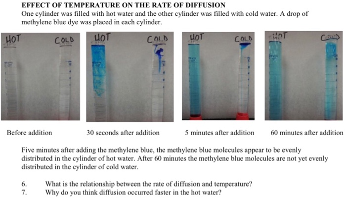 Solved EFFECT OF TEMPERATURE ON THE RATE OF DIFFUSION One | Chegg.com