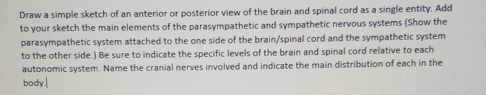 Solved Draw a simple sketch of an anterior or posterior view | Chegg.com