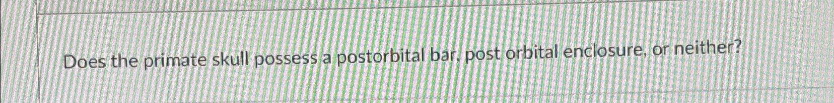 Solved Does the primate skull possess a postorbital bar, | Chegg.com