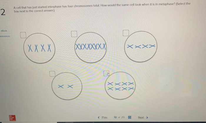 Solved A cell that has just started interphase has four | Chegg.com