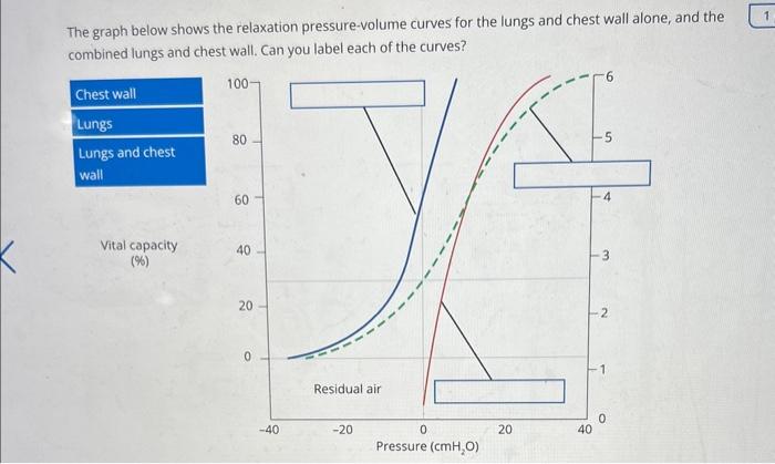 Solved The graph below shows the relaxation pressure-volume | Chegg.com
