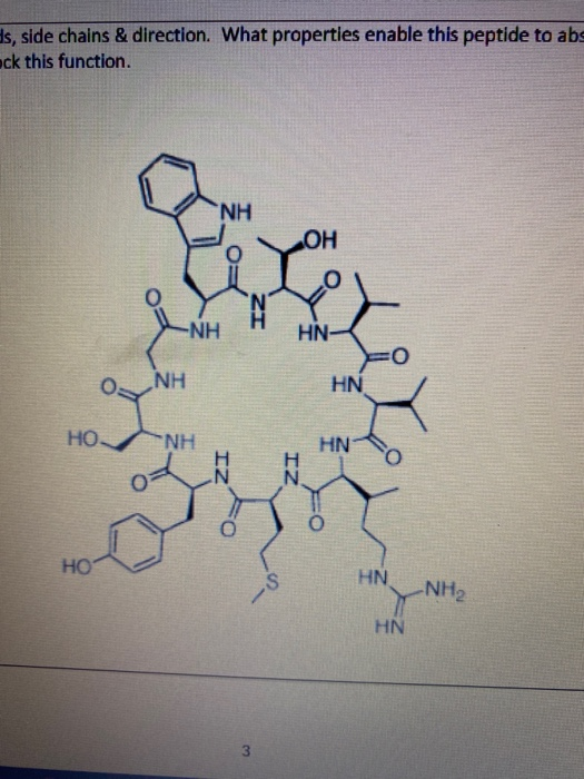Solved Identify peptide bonds, side chains & direction. | Chegg.com