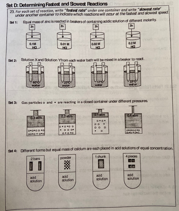 Solved Set D: Determining Fastest and Slowest Reactions 23. | Chegg.com