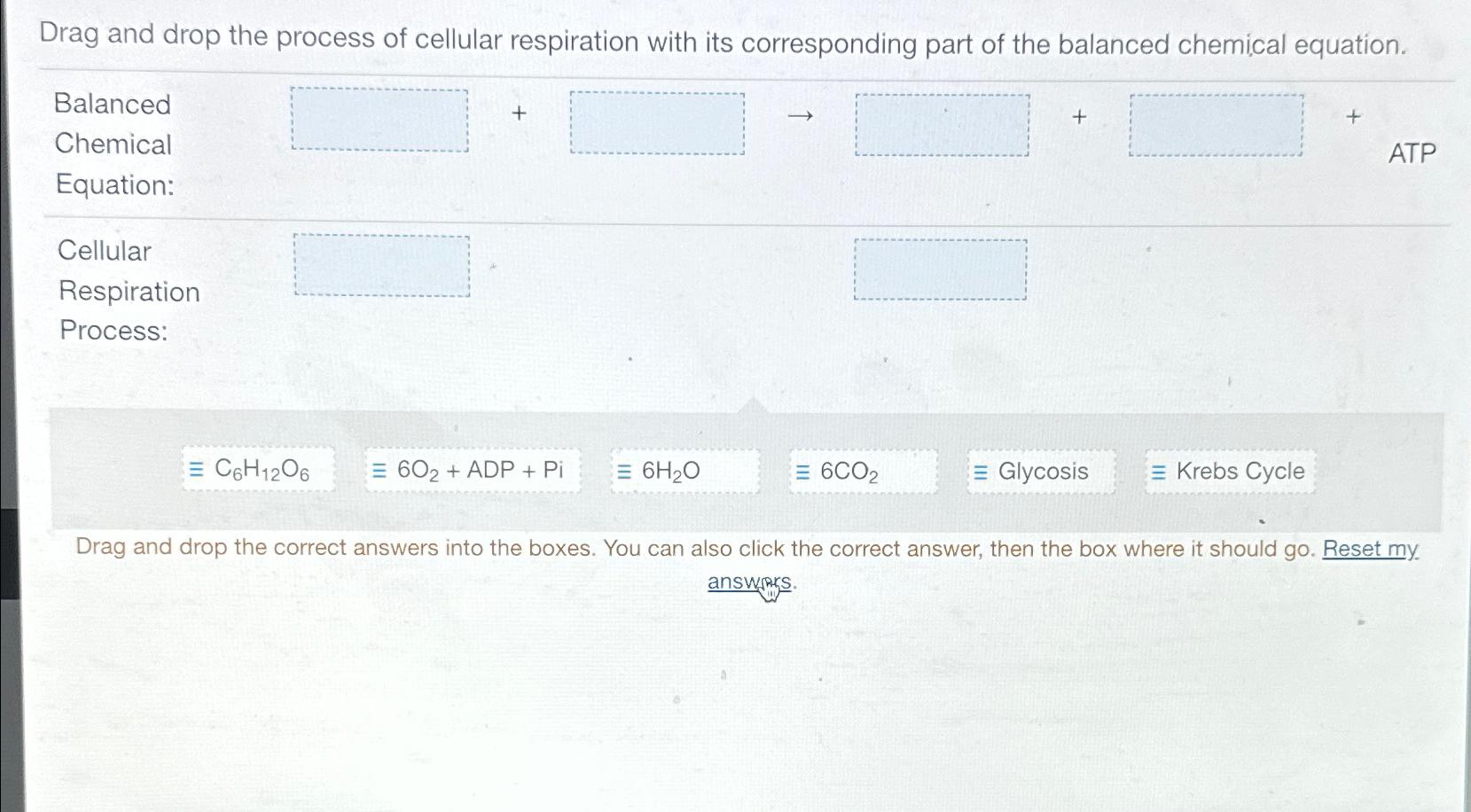Solved Drag and drop the process of cellular respiration | Chegg.com