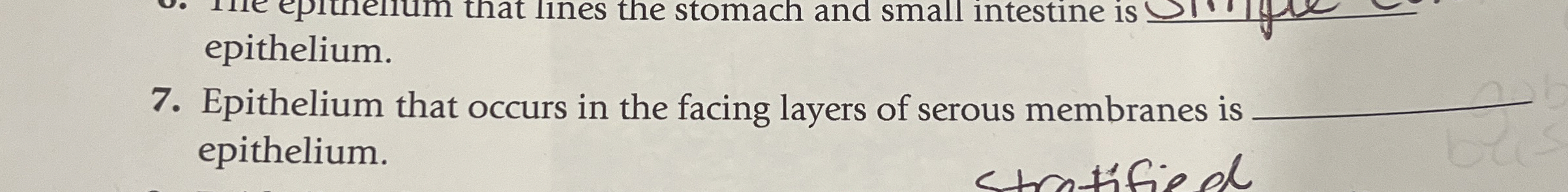 Solved Epithelium that occurs in the facing layers of serous | Chegg.com