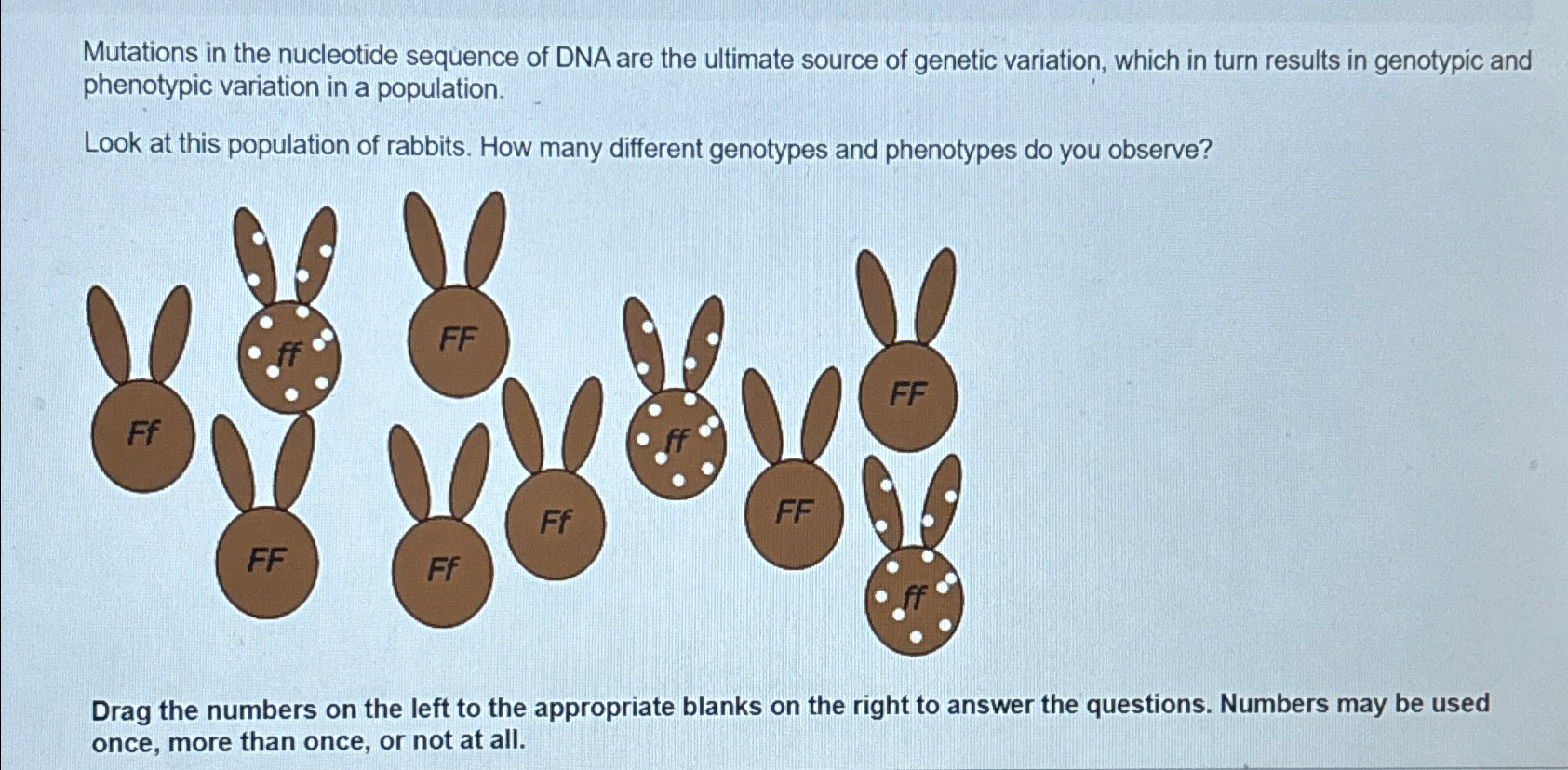 Solved Mutations in the nucleotide sequence of DNA are the | Chegg.com