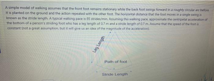 Solved A simple model of walking assumes that the front foot | Chegg.com