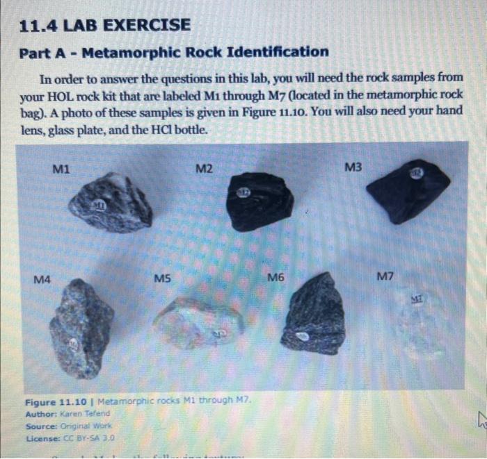 Solved 11.4 LAB EXERCISE Part A - Metamorphic Rock | Chegg.com