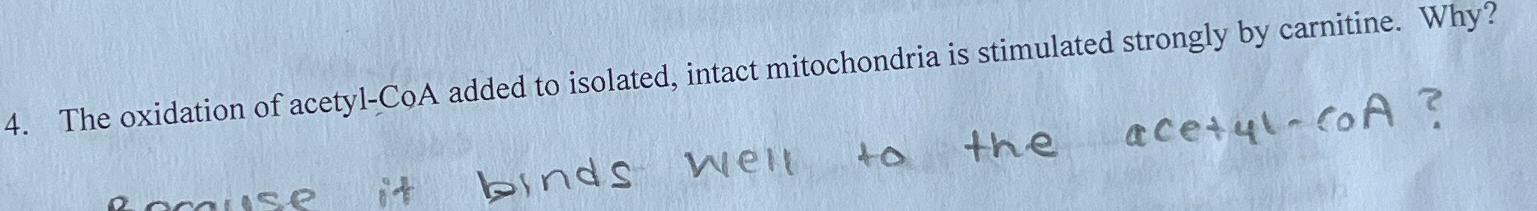 Solved The oxidation of acetyl-CoA added to isolated, intact | Chegg.com