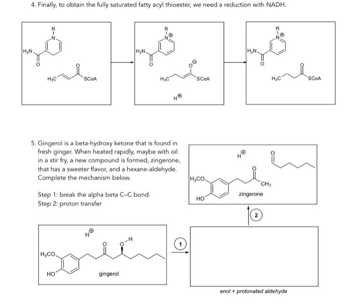 Solved 1. Starting from the beta-keto thioester we created | Chegg.com