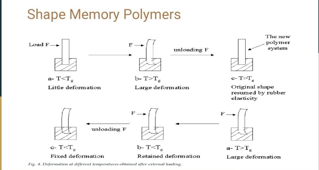 Solved Shape Memory Polymers | Chegg.com