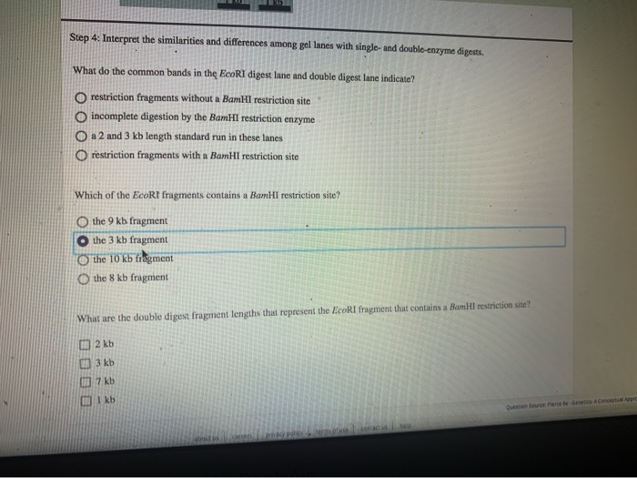 Solved Ch 20 Tutorial 5 Ch 20 Tutorial - Restriction Mapping | Chegg.com