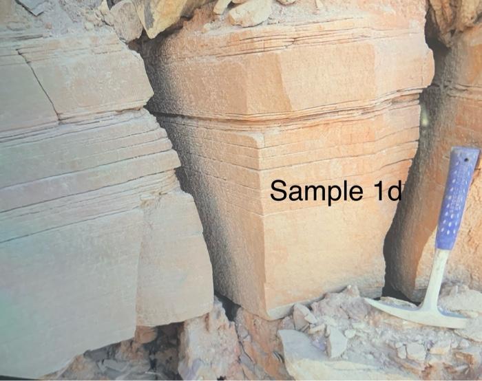 Solved using the sedimentary structures provided in the lab | Chegg.com