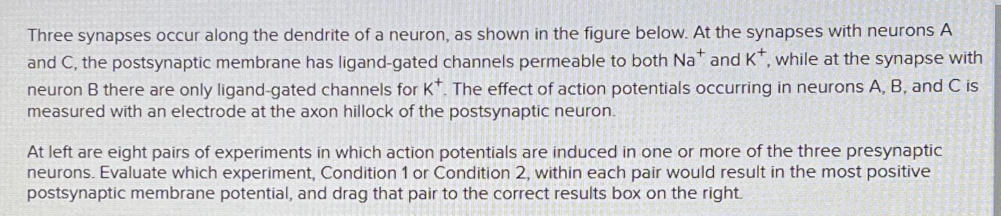 Solved Three synapses occur along the dendrite of a neuron, | Chegg.com