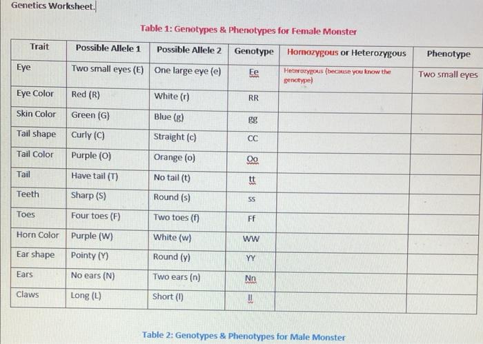 Solved Genetics Worksheet. Table 1: Genotypes 8 Phenotypes | Chegg.com